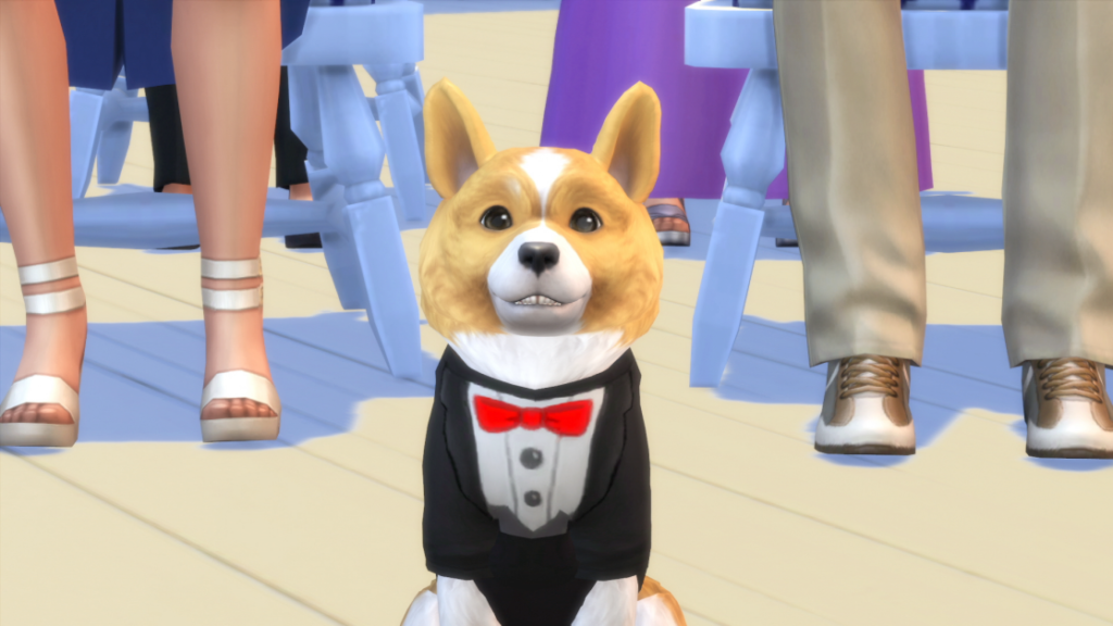 Project Simmy - Sims 4 Pets for a Cause